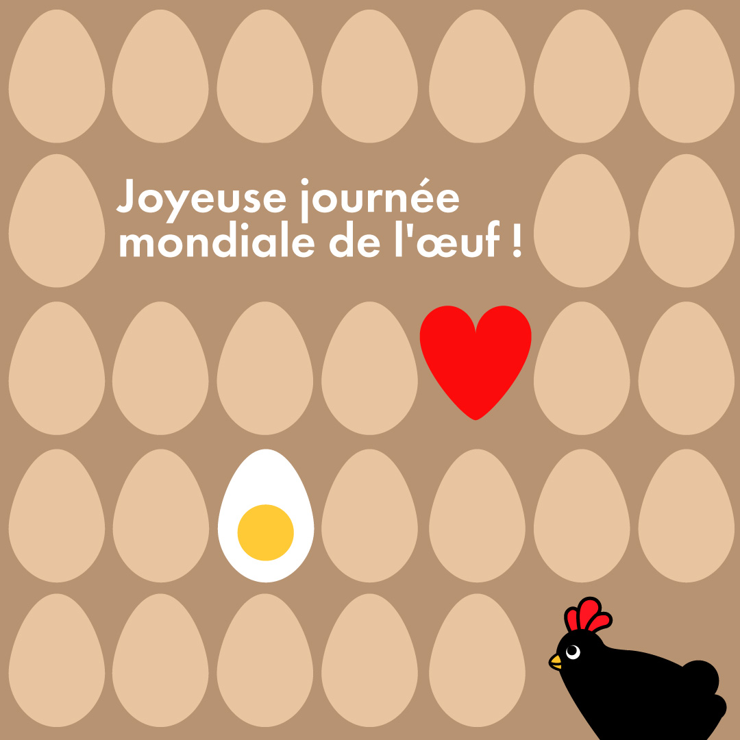 Journée mondiale de l'oeuf - Omlet Blog France