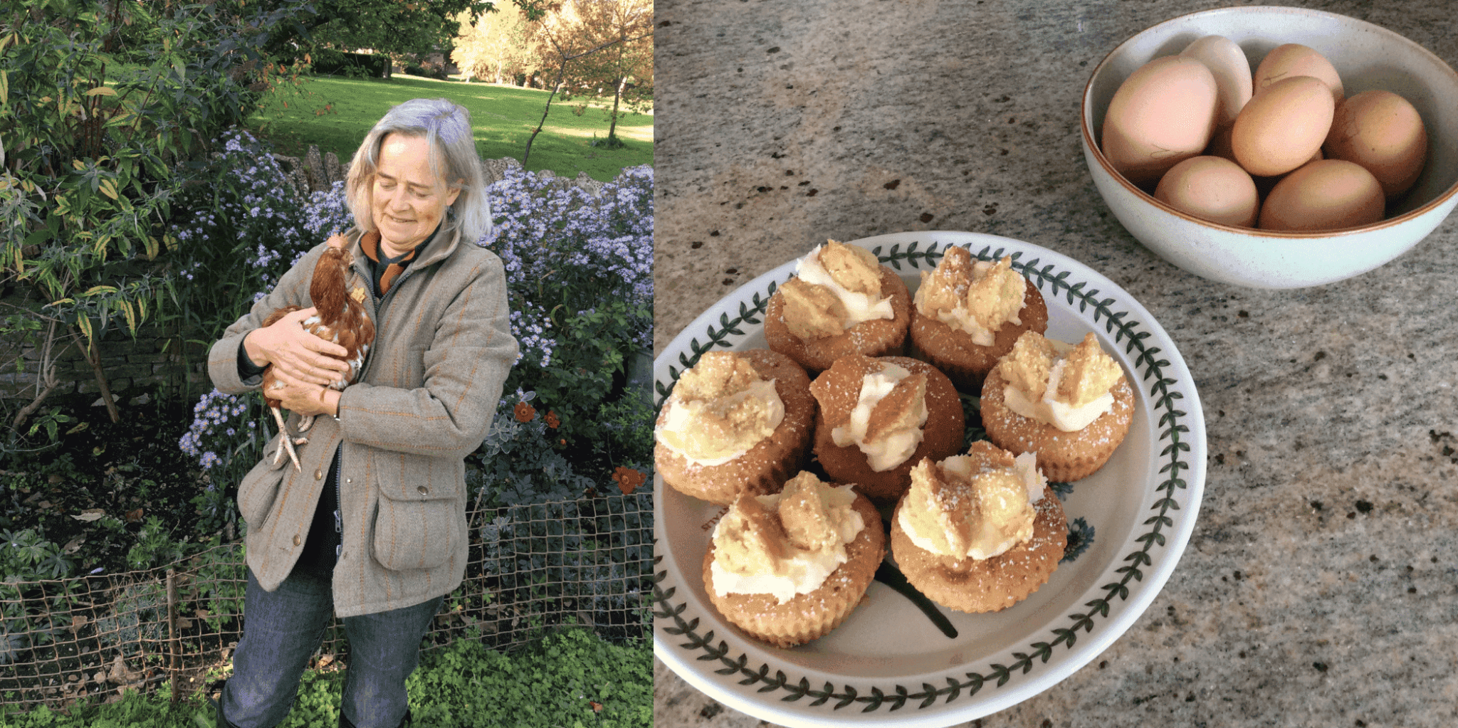 Élever des poules à la retraite - Omlet Blog France